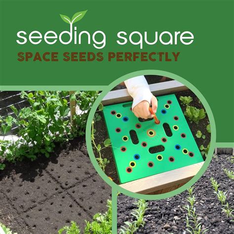 Seeding Square Precision Seed And Seedling Garden Spacer Tool The