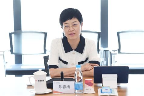 新密市委书记陈春梅一行莅临北新建材考察交流 板材网