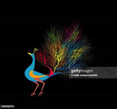 Indian National Bird Photos And Premium High Res Pictures Getty Images