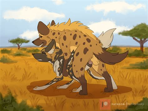 Rule 34 2d African Wild Dog Animated Anus Balls Canid Canine Duo
