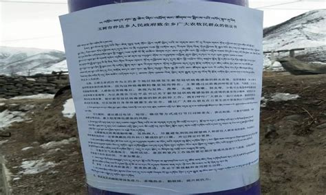 仲达乡深入各村寺督促指导新型冠状病毒感染肺炎疫情防控工作 玉树市新闻网