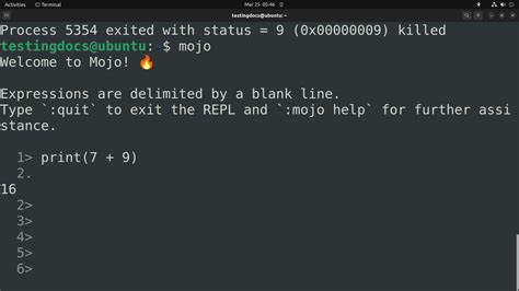 Mojo Repl Environment Testingdocs