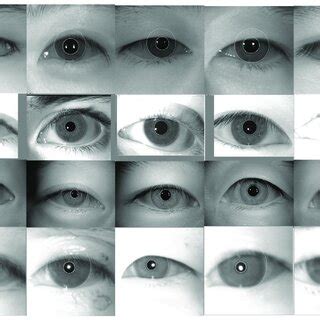 Typical Iris Localization Results Obtained Using The Proposed Method On
