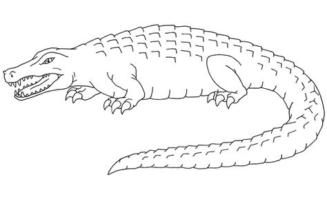 Fișe de colorat cu Aligator imprimabil pentru copii Imagini de