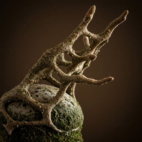 Sustainable Livelihoods Framework → Term