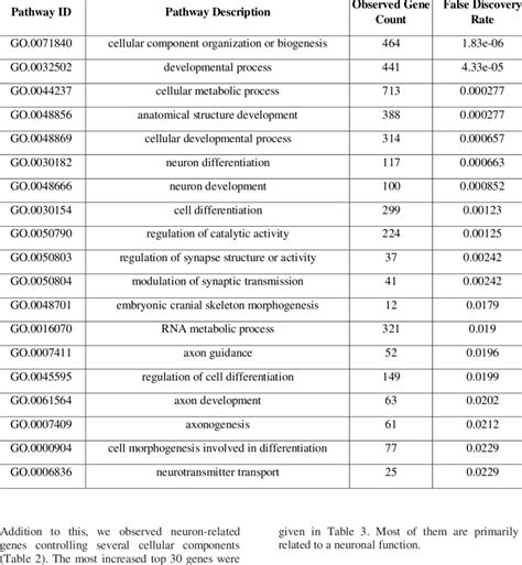Pathway Analysis According To Biological Process Download Table