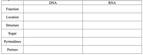 Dna Rna Table Diagram Quizlet