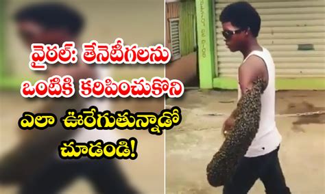 వైరల్ తేనెటీగలను ఒంటికి కరిపించుకొని ఎలా ఊరేగుతున్నాడో చూడండి Man