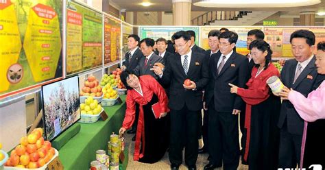 北 노동신문 지난해 보다 과일 수만 톤 증산과수업 발전 선전