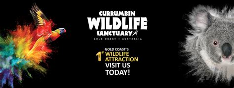 Torch Tech And Telco Some Laughs To Ease You In To The Weekend Seriously Though Tech Is What