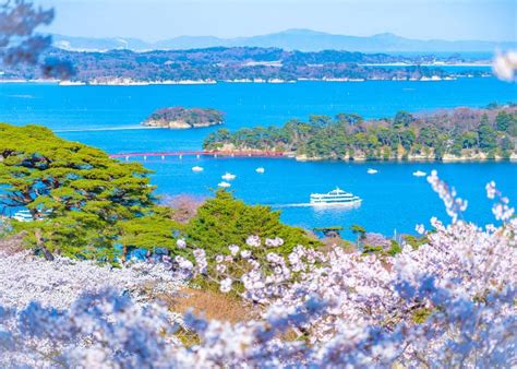 宮城賞櫻景點10選：一起探索上一代所傳承的櫻花精神吧！ Live Japan 日本旅遊 ‧文化體驗導覽