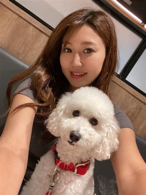 守屋麗奈に夢中／グレーソン 🇯🇵・그레이슨🇰🇷 On Twitter しおりさんの可愛い犬