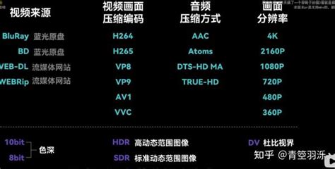教你两招，没有找不到的电影资源。 知乎