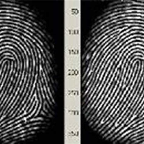 Pdf Fingerprint Recognition System Using Matlab