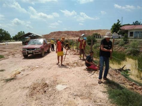 โครงการปลูกต้นไม้เฉลิมพระเกียรติ อัลบั้มรูป