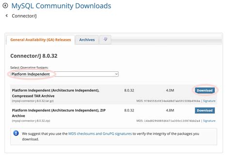IntelliJ MySQL 연동