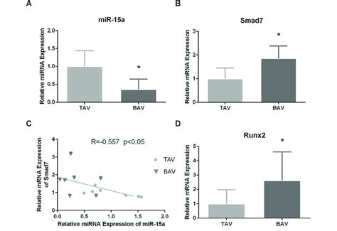 Negative Correlation Between MiR 15a And Smad7 Was Confirmed In