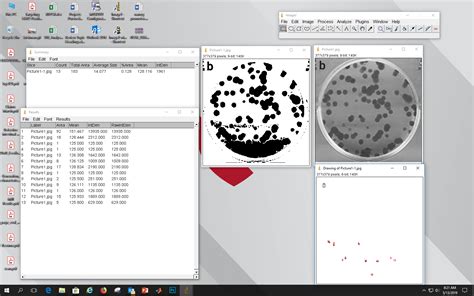 Analyze Particles Giving Error On Imagej Image Analysis Imagesc Forum