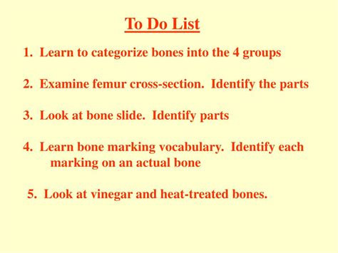 Ppt Classification And Structure Of Bones Powerpoint Presentation Free Download Id 711536