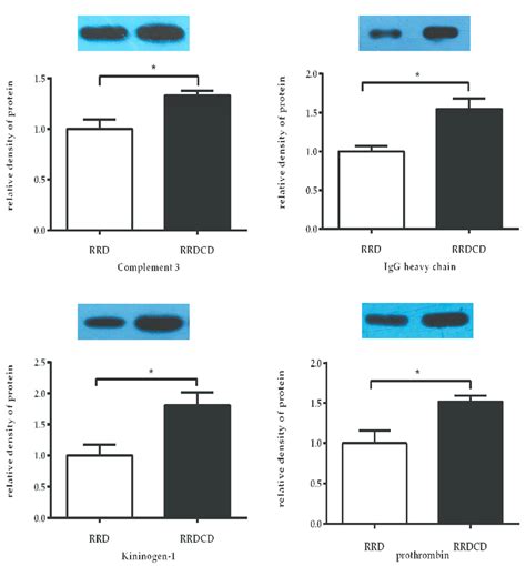 Western Blotting Analyses Of 4 Differentially Expressed Proteins