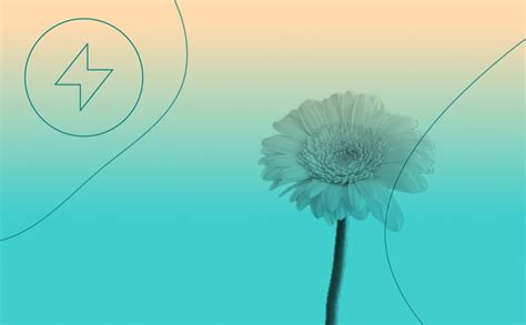 The Power Of Reactivation Emails How To Re Engage Subscribers