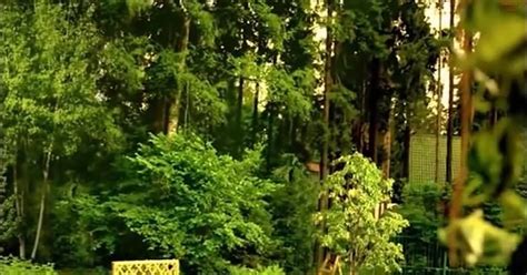 Новые чаи "Беседа" | Пикабу