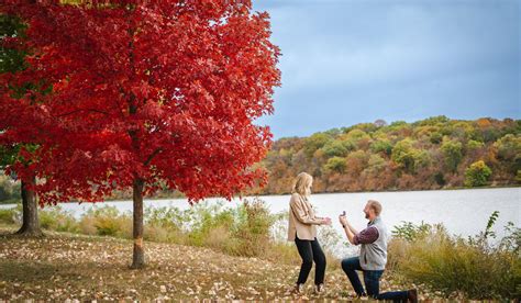 Cara Hillman And Logan Williamss Wedding Website