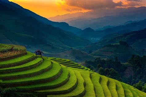 Huong Tran Thi Thanh On Linkedin Dear Colleagues And Friends In My