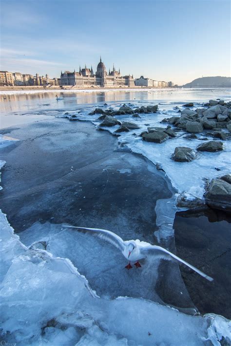 What Is Safe Ice For Fishing Trickyfish