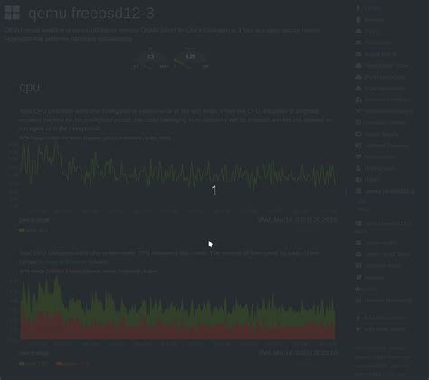 Bug Libvirt Vms Are Monitored Twice · Issue 12434 · Netdatanetdata
