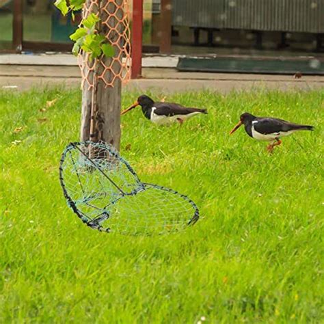 Bird Pigeon Bird Net Starling Traps Bird Catching Net Mesh Sparrow 23x20x2cm Ebay Bird Pigeon Bird Net Starling Traps Bird Catching Net Mesh Sparrow 23x20x2cm Ebay