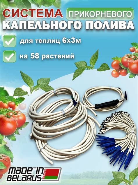 Капельный полив для теплиц и огорода автополив - купить по низкой цене ...