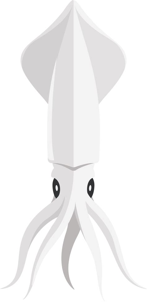 Squid Flat Color 18928062 Png