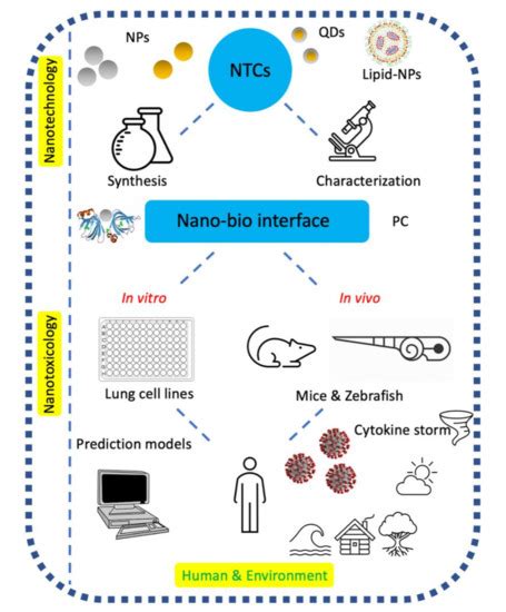 Nanomaterials Free Full Text Covid 19 Pandemic What About The