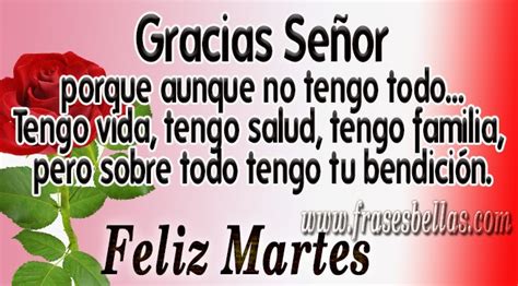 Frases Pensamientos Y Todo Tipo De Rosas Feliz Martes