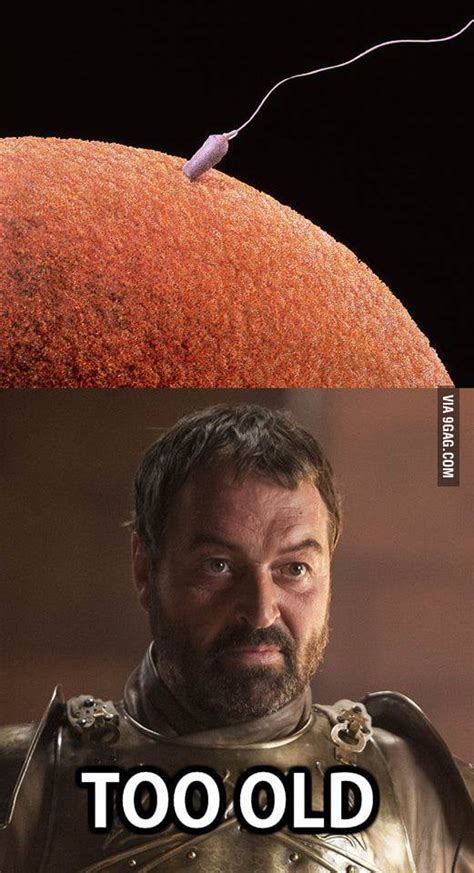 Ser Meryn Trant Doesnt Give A Sh T 9gag