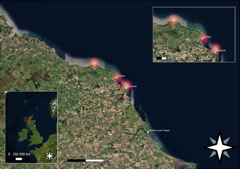 Heat Map Of The Gonad Maturity Stages For Both Male N 313 And