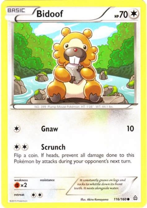 Pokemon X Y Primal Clash Single Card Common Bidoof 116 Toywiz
