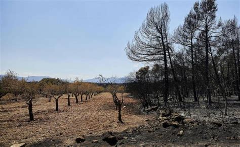 El Incendio De Bejís Al Fin Estabilizado El Correo