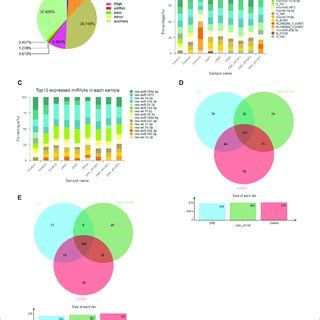 Overview Of Small RNA Sequencing A Proportion Of Various Small Download Scientific Diagram
