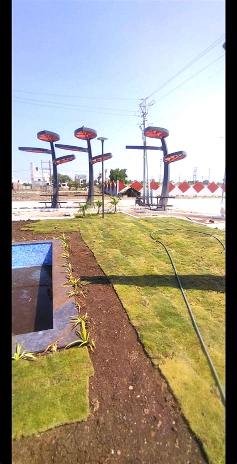 designs by gardening and landscaping akash kothari indore kolo