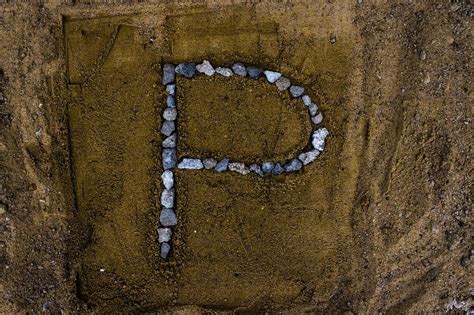 87 Best Team Names Starting With R Curated And Ranked Generator