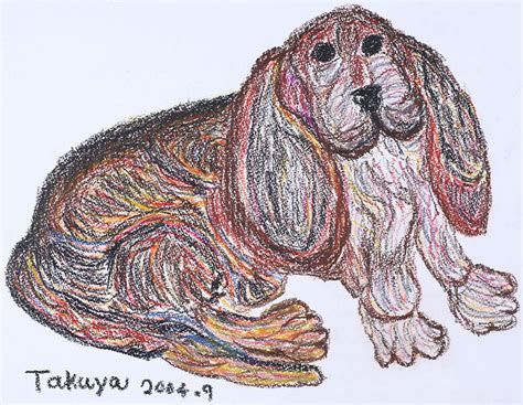 犬 色鉛筆 蒲生卓也