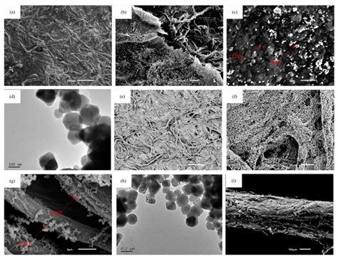 A Low Power Of The Surface Morphology Image Of The Znocntfp