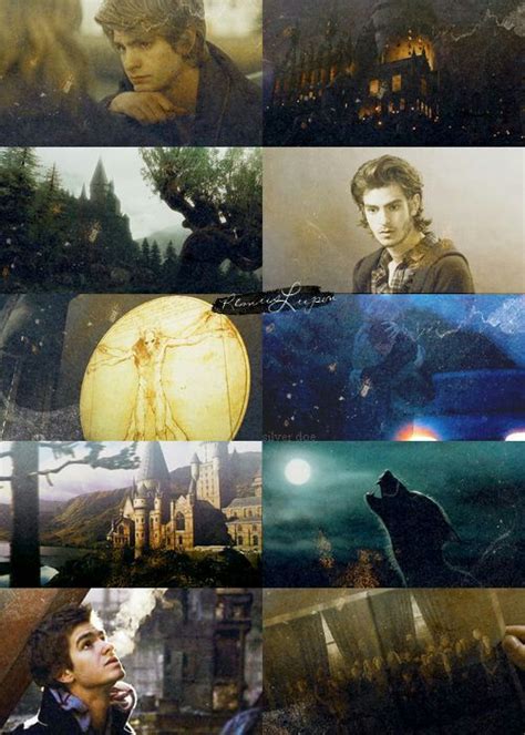 Moony Harry Potter Amino