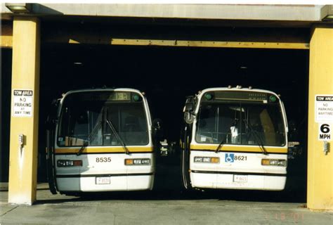 TMC Photo Page