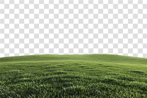 Bermuda Grass Landscape Nature Grass Premium Ai Generated Psd