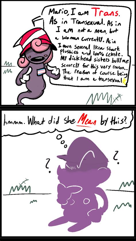 Vivian Spells It Out Paper Mario Know Your Meme