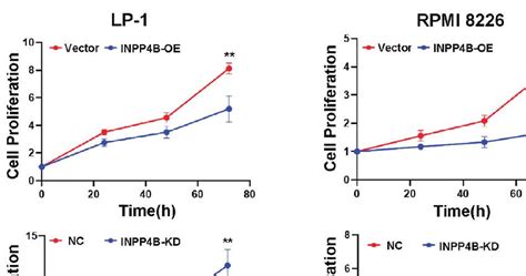Inositol Polyphosphate 4 Phosphatase Type Ii Is A Tumor Suppressor In Multiple Myeloma