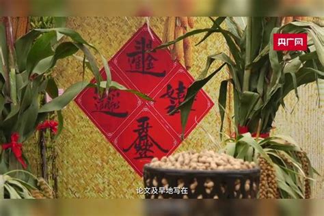 第五届高博会绽放新彩 中原农谷赋能乡村振兴